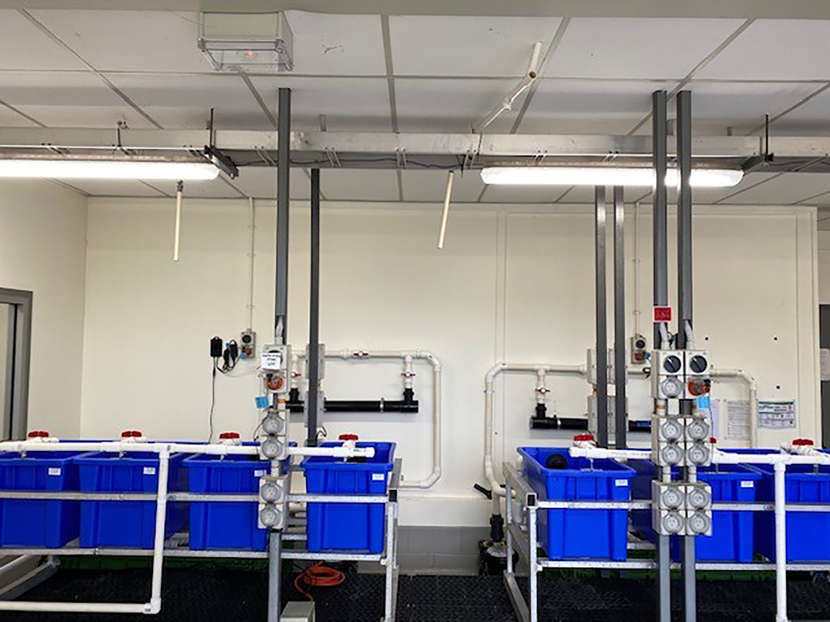 Iplex pipes for James Cook University Caraplace Turtle Research Facility